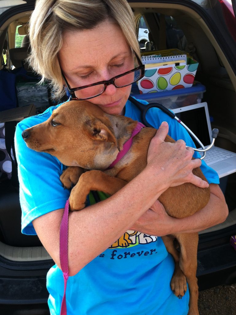 VetMobile Triangle | Mobile Vet Services in Raleigh NC & The Triangle